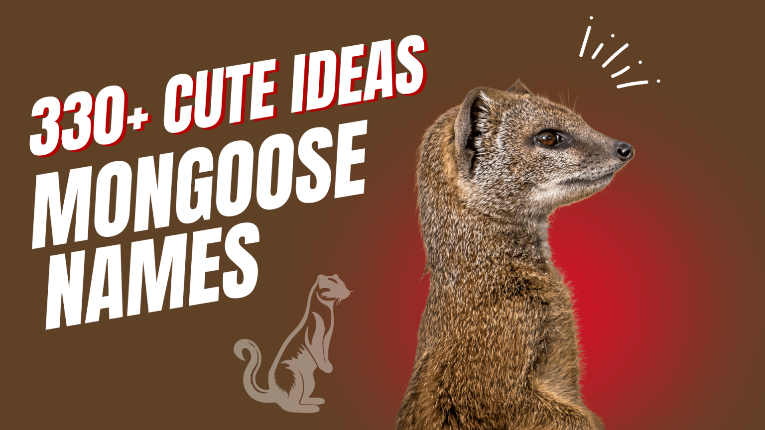 280+ Cool & Badass Alligator Names With Meanings