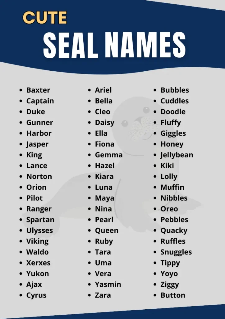 480 Cute Seal Names Fun Meaningful Ideas 480 Cute Seal Names Fun Meaningful Ideas